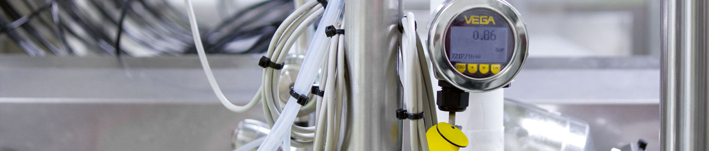 Try the VEGABAR 82 free for 90 days!