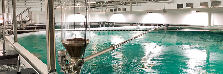 Sensors for aquaculture | Fish farming | VEGA