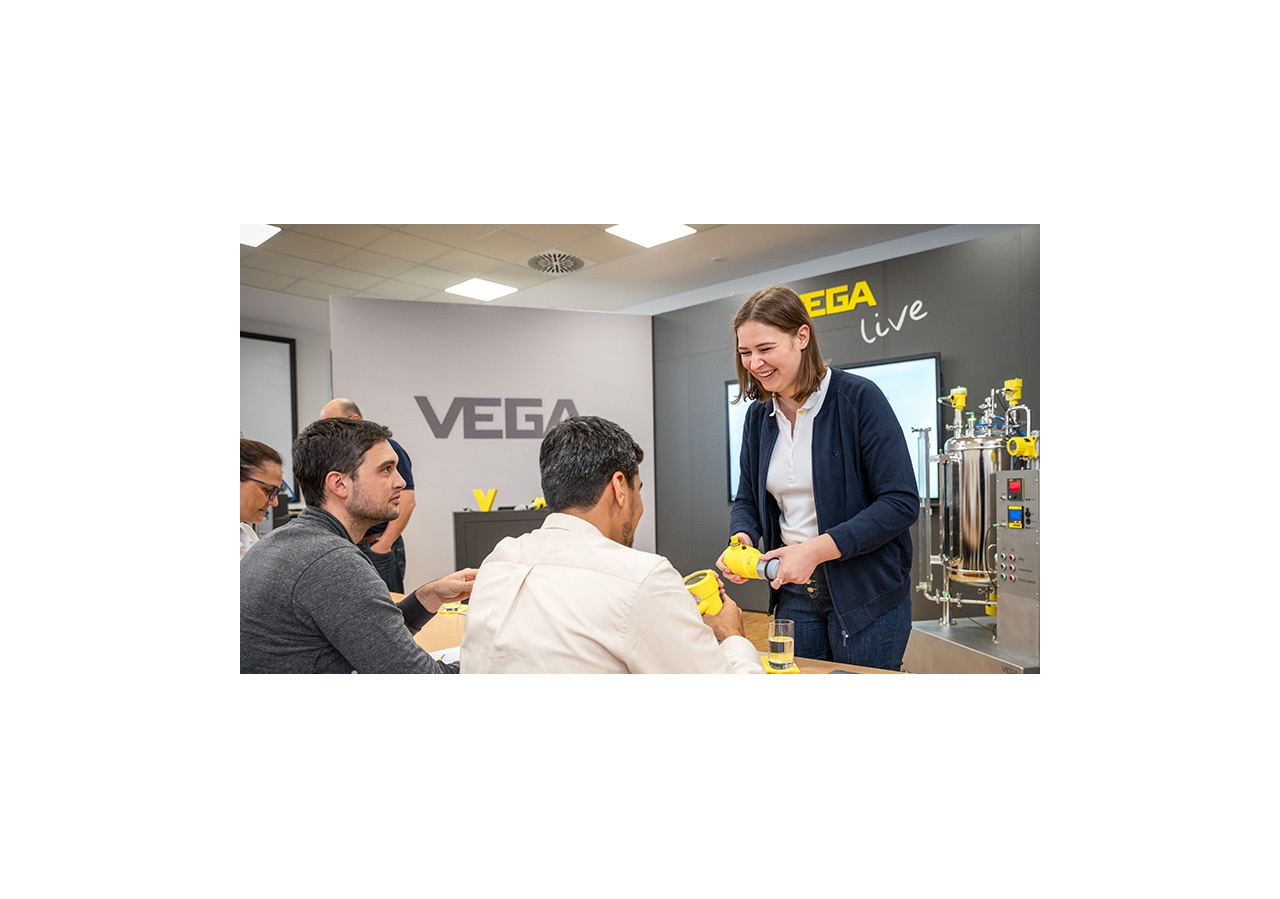 Service & Training - from VEGA